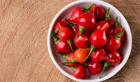 Conheça os diferentes tipos de pimentas e saiba como utilizá-las