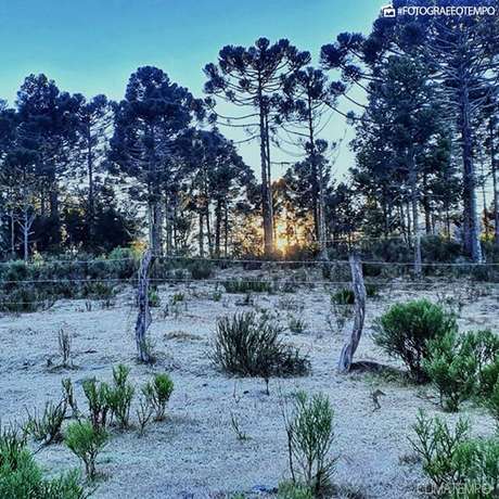 Você sabe o que é geada?