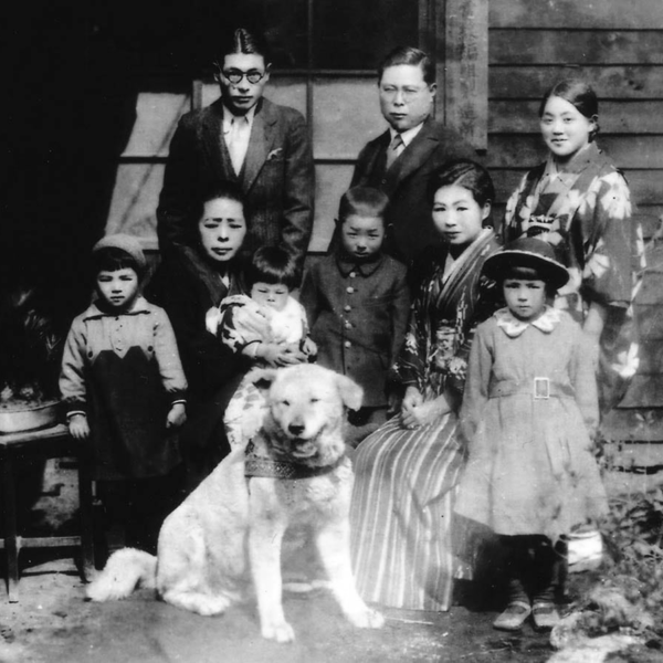Que Tipo De Cachorro E Hachi