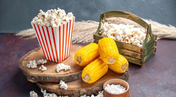 Povos Originários - Terra