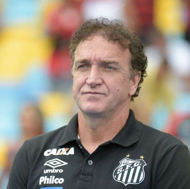 Santos: que horas joga o Santos, estatísticas e fotos – Terra