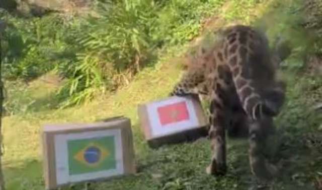 Brasil x Marrocos - Ao vivo - Copa 2026 - Minuto a Minuto Terra