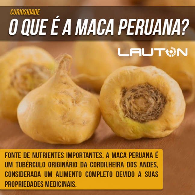 Maca Peruana: por que esse superalimento atrai e conquista consumidores ...