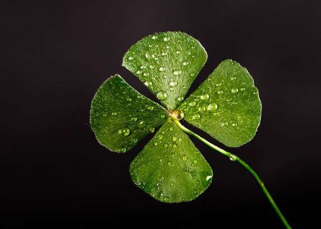 A sorte de cada signo: descubra qual é a sua!