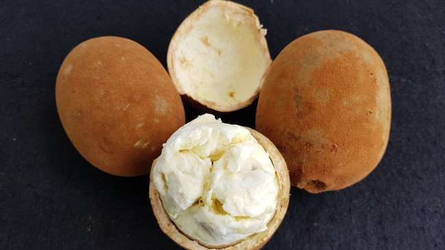 Cupuaçu: entenda os benefícios para quem treina