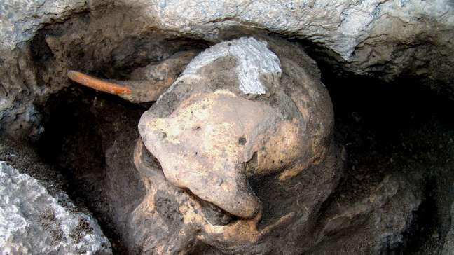 Descoberta sugere que homem primitivo pertenceu a uma única espécie