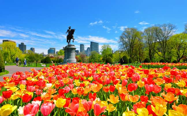 Conheça Boston, principal cidade da Nova Inglaterra