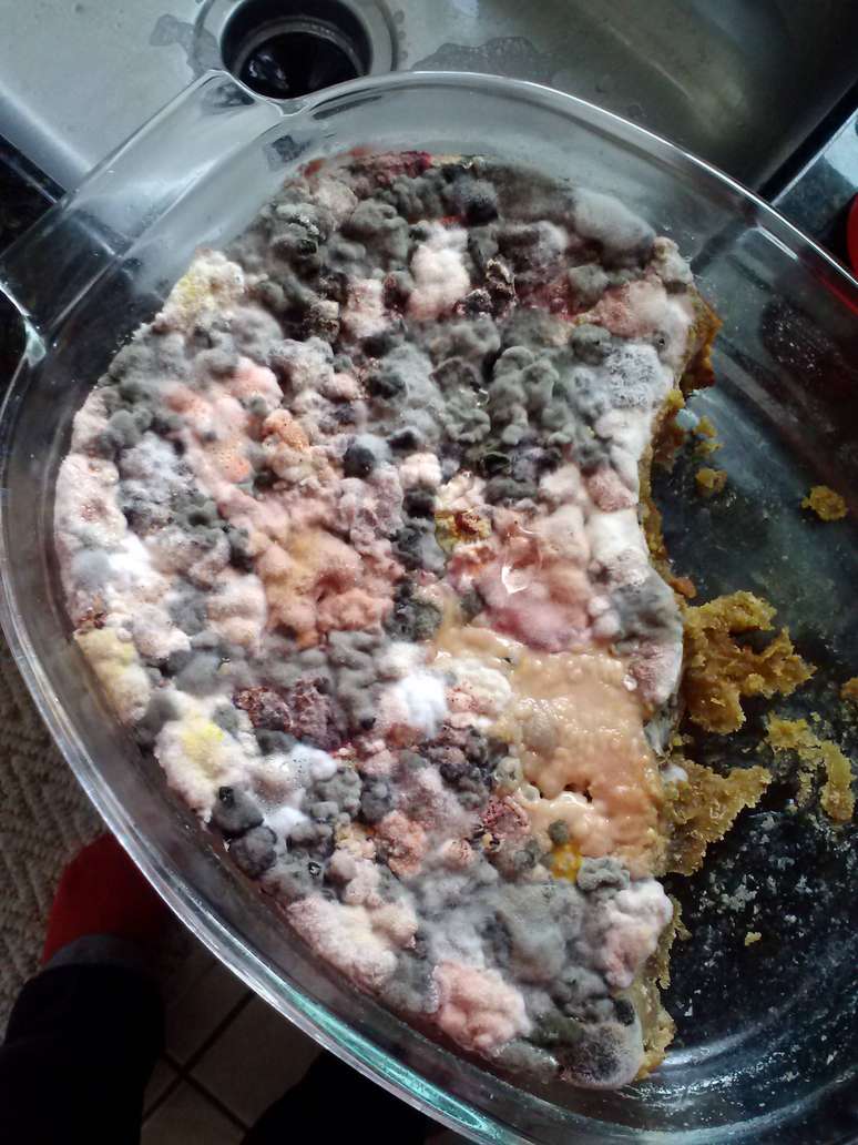 Foto de resto de comida mofado têm 1,2 milhões de acessos na web