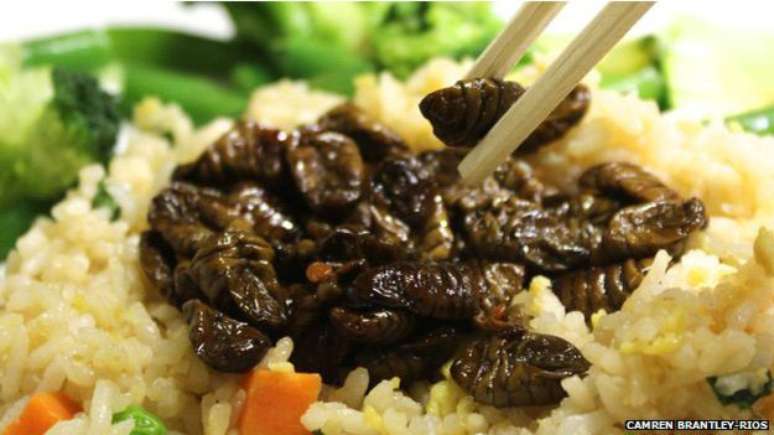 Estudante passa um mês comendo apenas insetos nos EUA