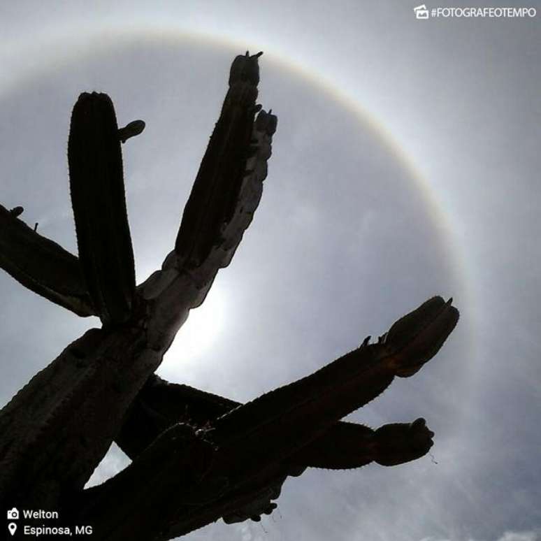 Nuvem rara aparece em SC e em GO