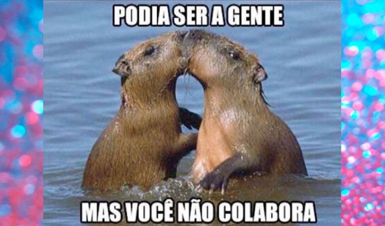 Descubra quais foram os GIFs mais usados em 2018 no Brasil!