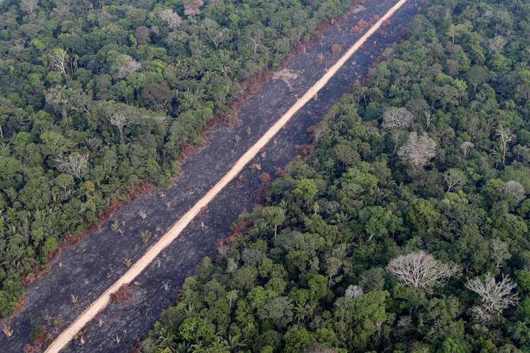 Abertura de estradas na Amazônia pode desmatar milhões de hectares, diz ...