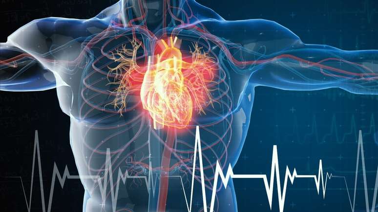 Coração acelerado? Como prevenir uma arritmia cardíaca