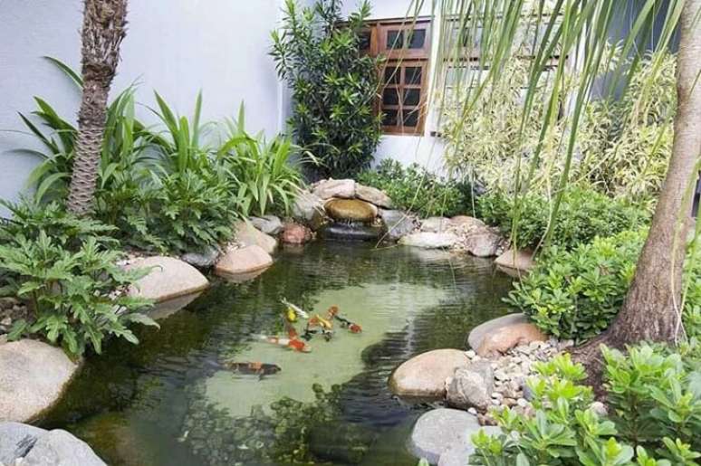 Lago Ornamental: +70 Projetos e Dicas de Plantas e Peixes Ideais