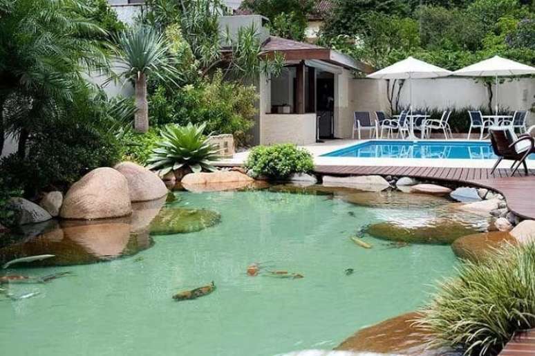 Lago Ornamental: +70 Projetos e Dicas de Plantas e Peixes Ideais