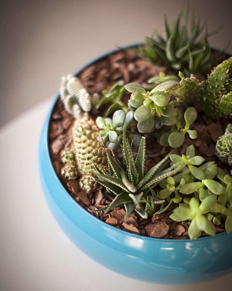 Azul na decoração: como e porque usar a cor do bem-estar