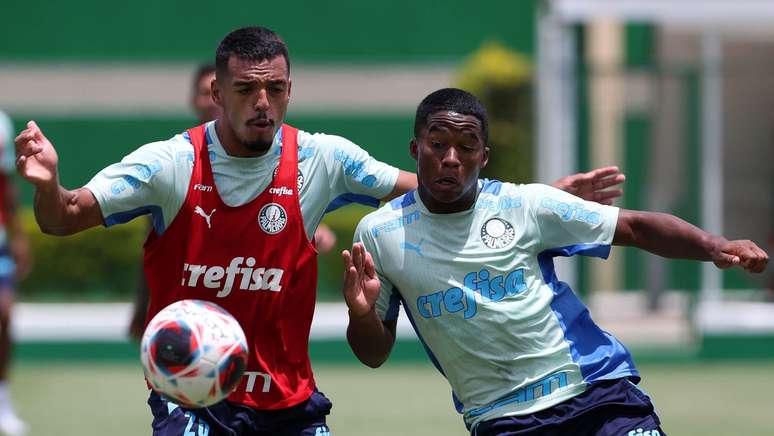 Palmeiras Finaliza Trabalhos Visando Duelo Contra O Mirassol Veja