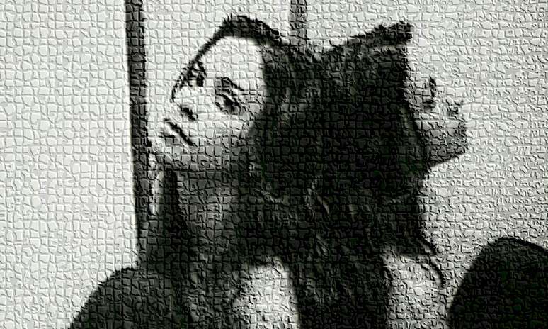 Alanis Morissette ganha série documental brasileira em quatro episódios