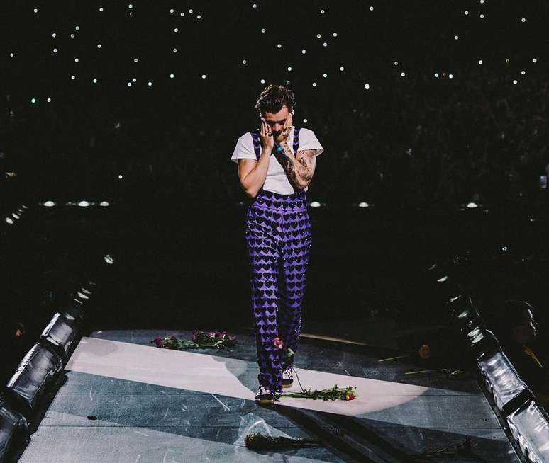 Harry Styles é atingido no rosto por objeto durante show em Viena