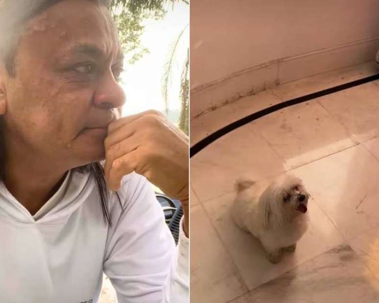 Frank Aguiar lamenta morte de cachorrinho de estimação em vídeo: 'Não ...