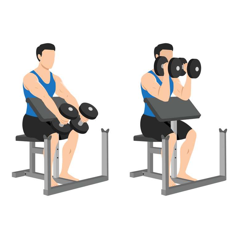 Treino De B ceps E Tr ceps Veja Os Melhores Exerc cios Para Fazer Na Treino De B ceps E Tr ceps Veja Os Melhores Exerc cios Para Fazer Na