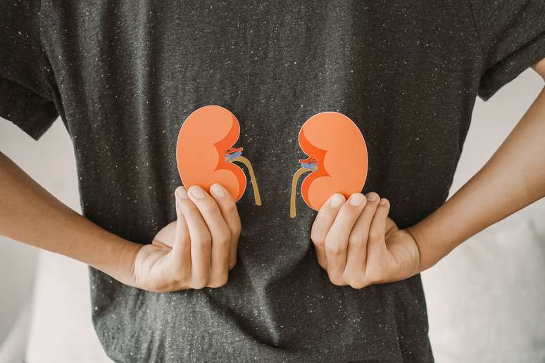 5 cuidados para manter seus rins saudáveis
