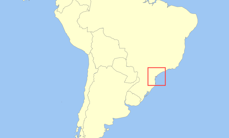 Mico-leão-de-cara-preta: o macaco mais ameaçado do Brasil! Por que ...