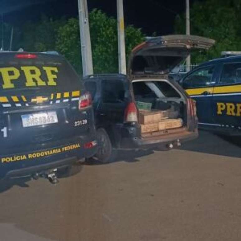 Polícia detém 16 pessoas e encerra torneio ilegal de aves silvestres em ...