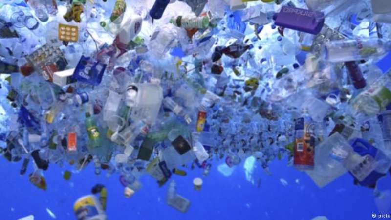Microplástico é encontrado em animais no fundo dos oceanos