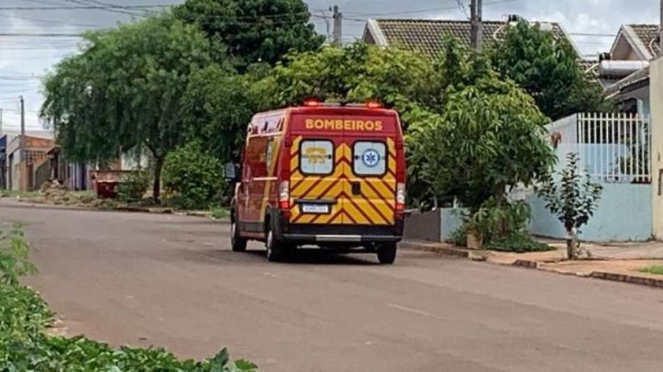 Menino Cai Do Pé De Manga E Sofre Suspeita De Fratura No Nariz Em Cascavel
